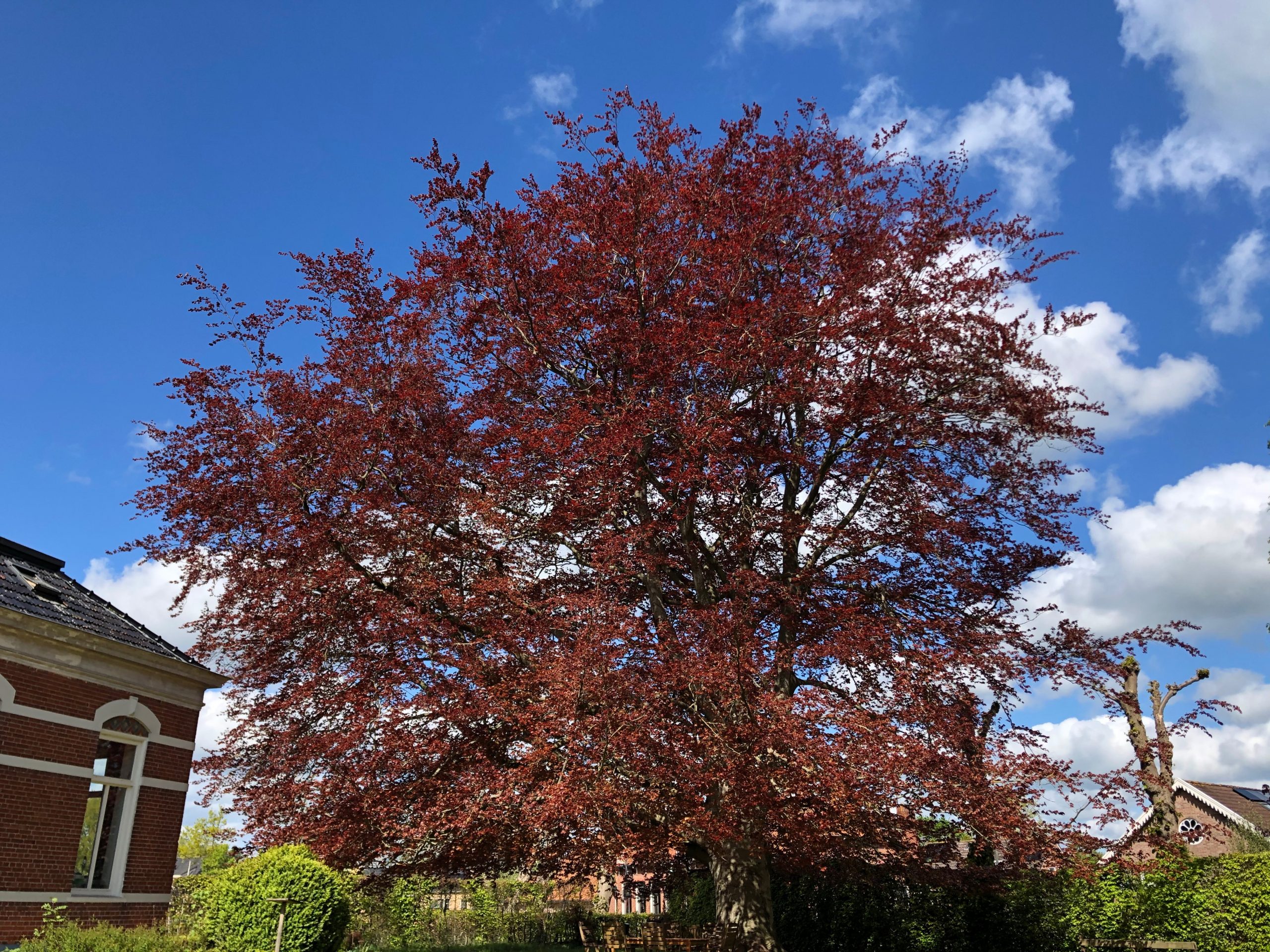In onze Finse Kota zijn roken en open vuur alsmede huisdieren niet ...